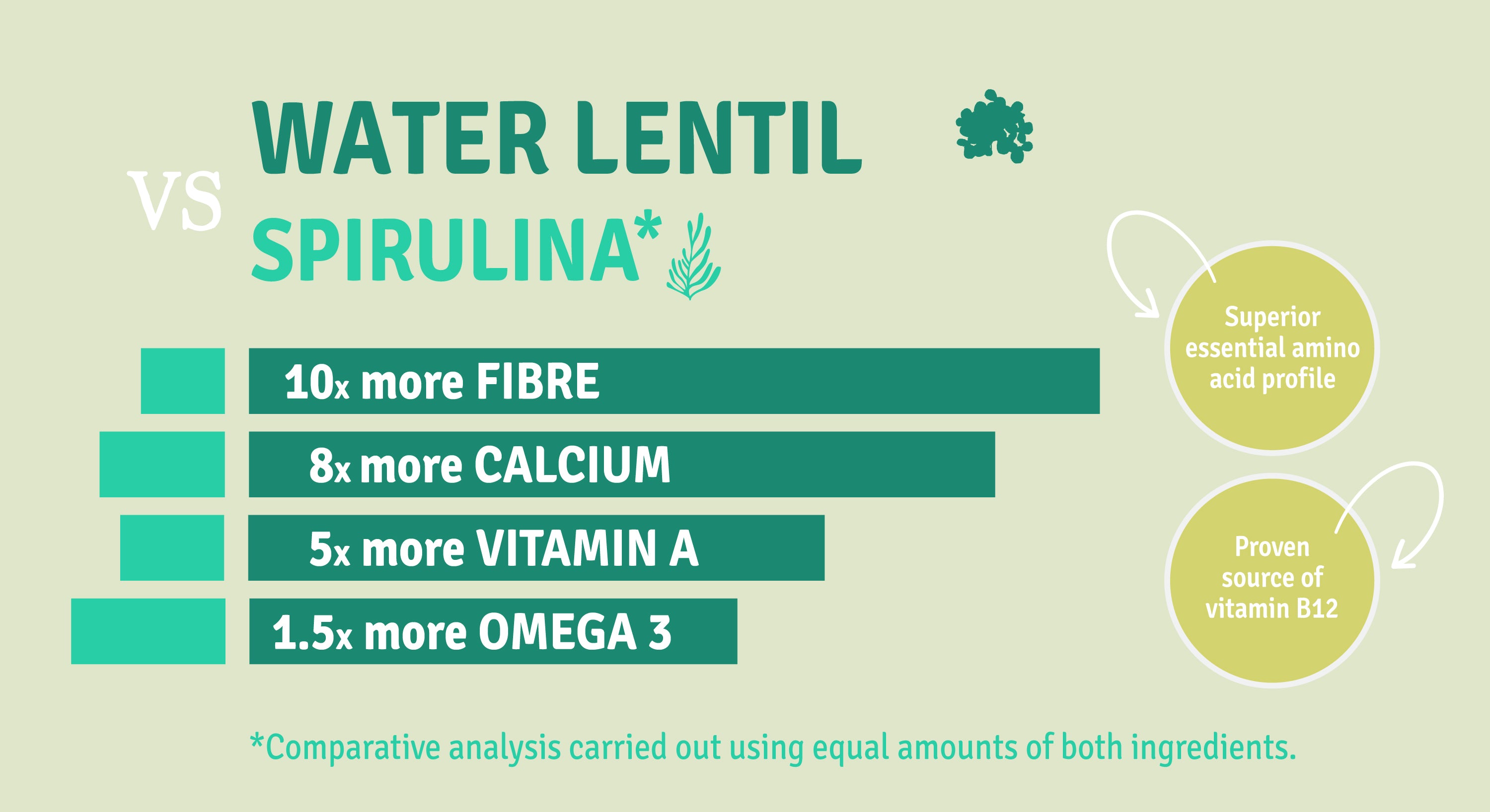 Water lentils powder | Green Superfood | Seta Organic